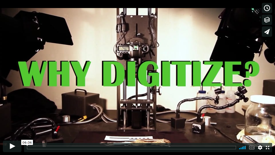 K-12 Resources | iDigBio